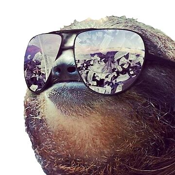 "Big Money Sloth" Photographic Print for Sale by Poyo | Redbubble