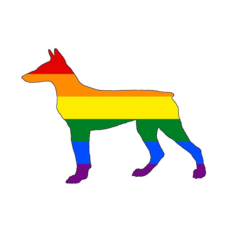 "Rainbow Doberman" by DelirusFurittus | Redbubble