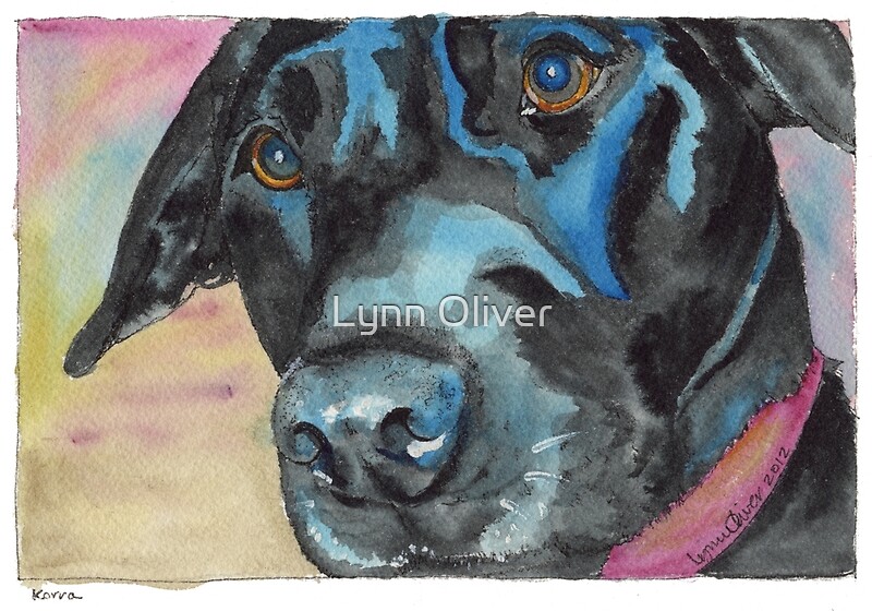 "Little Black Dog ("Korra" the lab-mix)" by Lynn Oliver | Redbubble