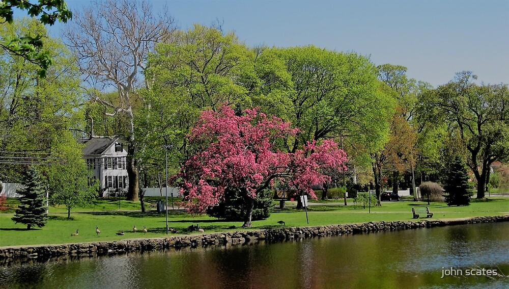 "Early Spring in Connecticut" by john scates | Redbubble