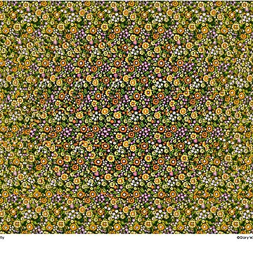 "Butterfly 3D Hidden Image Stereogram Illusion" Poster for Sale by ...