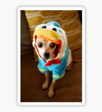 Donald Duck: Stickers | Redbubble