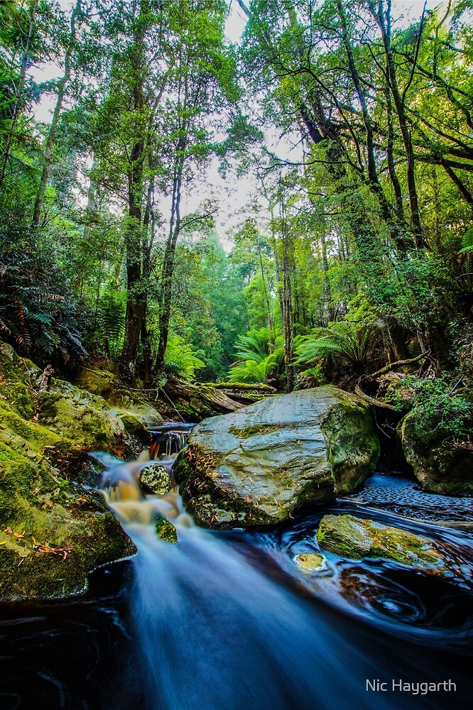 "Blue cascade on Detention River, northwestern Tasmania" by Nic ...