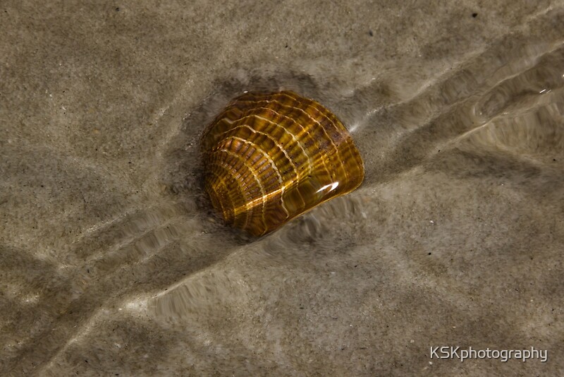 "Cape San Blas Florida " by KSKphotography | Redbubble