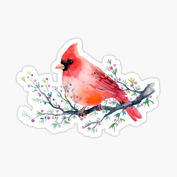 Cardinal Stickers | Redbubble