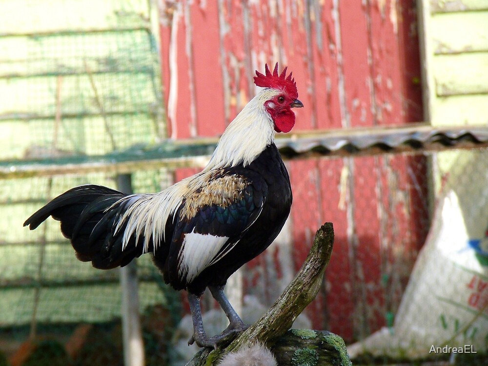 "Oh Lord It's Hard To Be Humble...When Your'e Perfect In Every Way ...