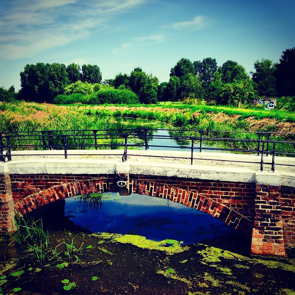 "Bridge, Lincolnshire Fens" by Robert Steadman | Redbubble