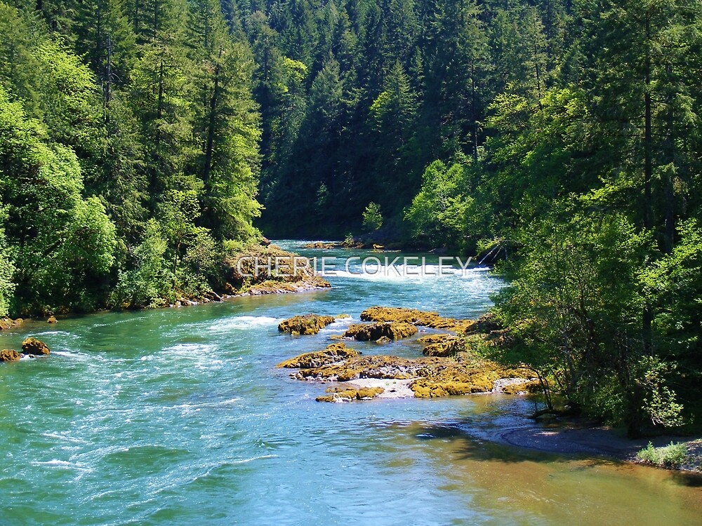 «BEAUTIFUL FLOWING OREGON RIVER IN THE WOODS» de CHERIE COKELEY | Redbubble