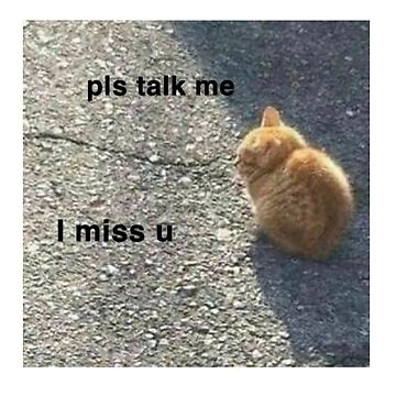 "I miss U CAT MEME" Photographic Print for Sale by Kyiomi | Redbubble