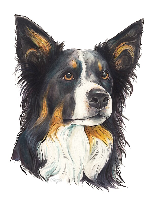 Border Collie: Gifts & Merchandise | Redbubble
