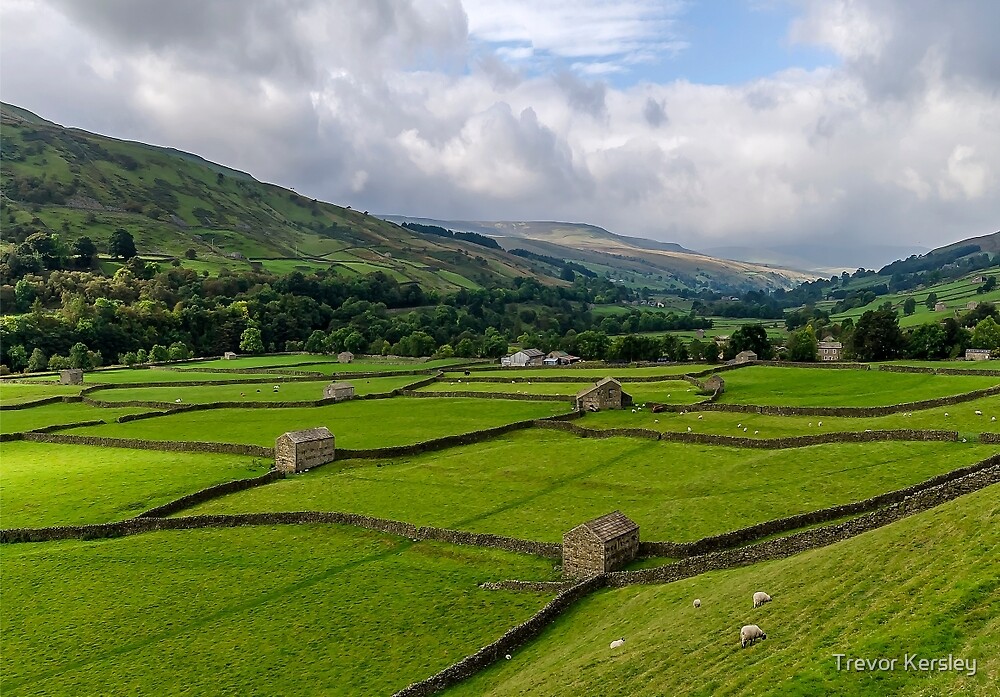 "Swaledale Stone Barns" by Trevor Kersley | Redbubble