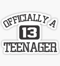 Official 13 Teenager: Stickers | Redbubble