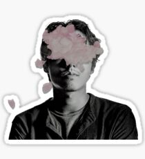Troye Sivan: Stickers | Redbubble