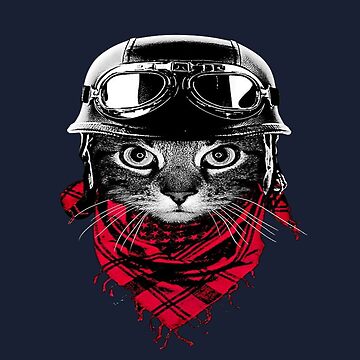 "The biker cat for cats and motorcycle lovers cats say hi helmet ...