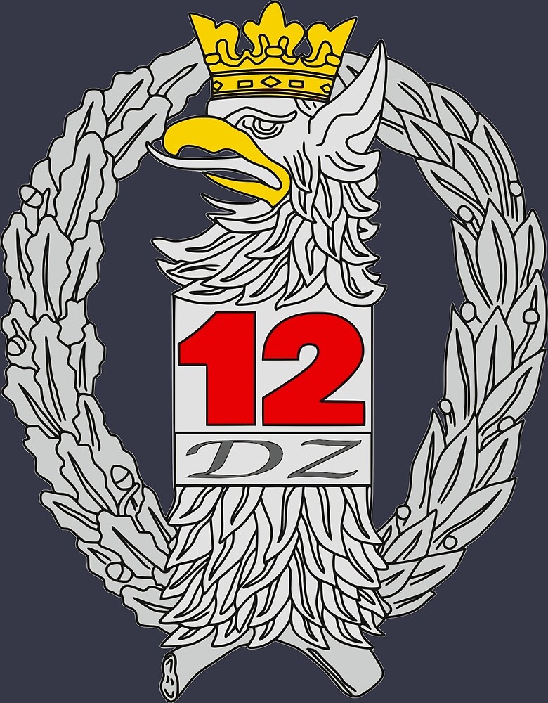 "12th Bolesław Krzywousty Szczecin Mechanised Division (Polish Armed ...