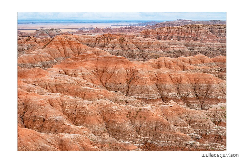 "Badlands National Park 1 (c)" by Wallace Garrison | Redbubble