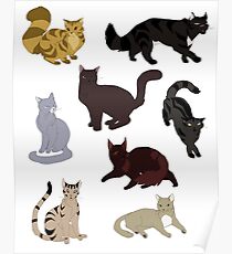 Warrior Cats: Posters | Redbubble