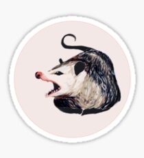 Possum: Stickers | Redbubble