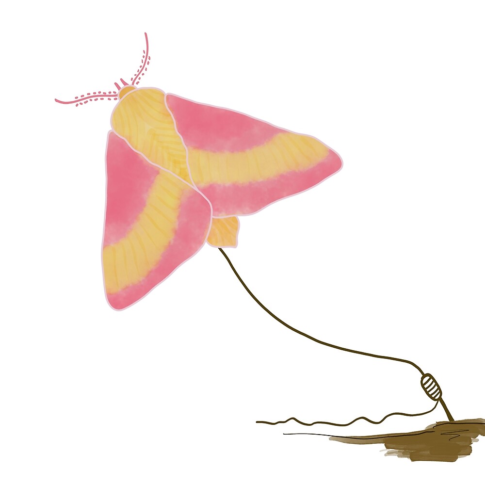 "cute pink and yellow insect-likea a kite" by alinashu | Redbubble
