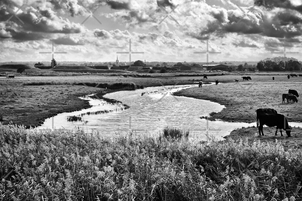 "Ham Marshes" by Geoff Carpenter | Redbubble