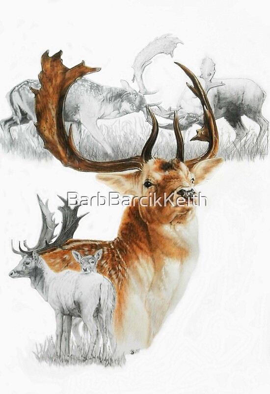 "Fallow Deer Collage" by BarbBarcikKeith | Redbubble