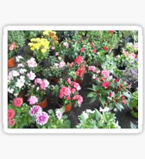 Pots: Stickers | Redbubble