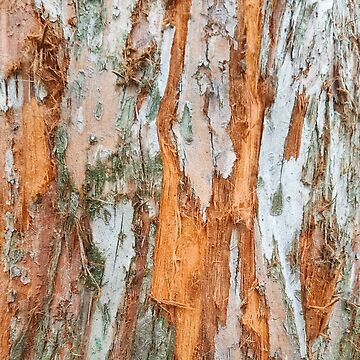 "Colorful Tree Bark " Poster for Sale by Treebarkart | Redbubble