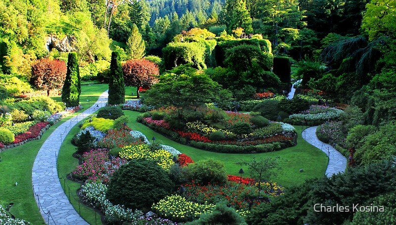 "Butchart Gardens 1" by Charles Kosina | Redbubble