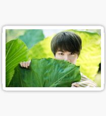 Kim Seokjin: Stickers | Redbubble