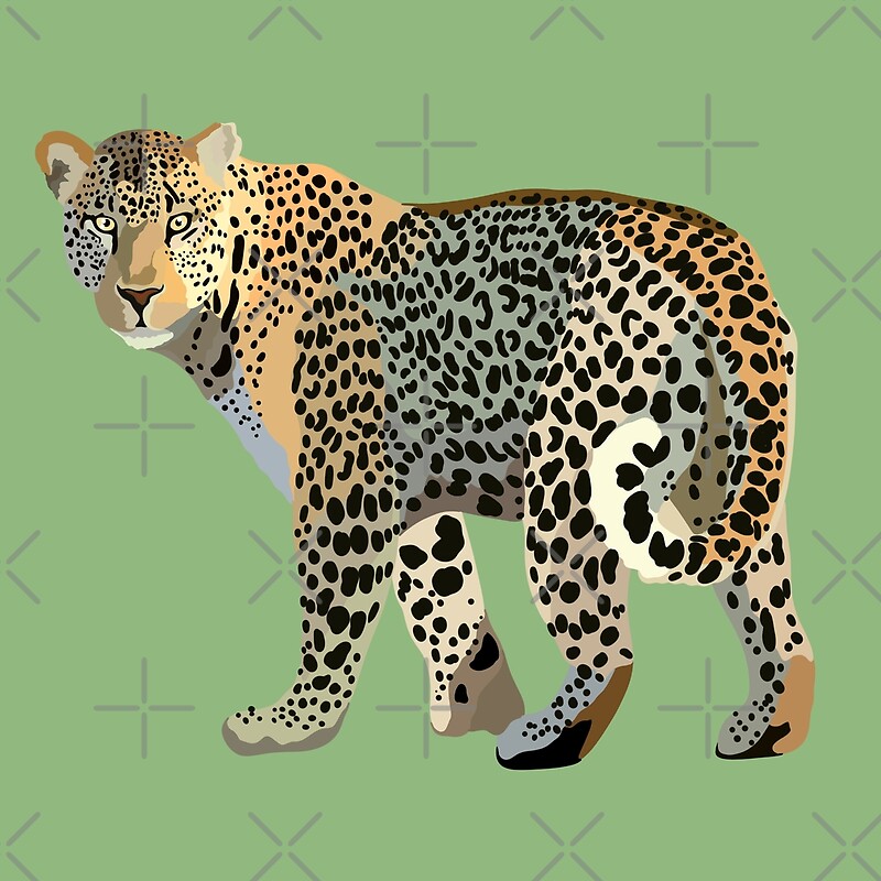 "L is for Leopard " by thezoogirl | Redbubble