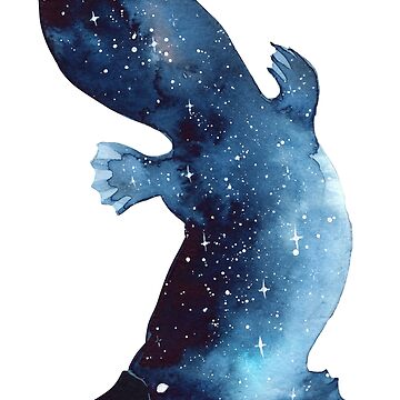 "Galaxy Platypus" Sticker for Sale by Threeleaves | Redbubble