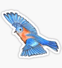 Bluebird Stickers | Redbubble