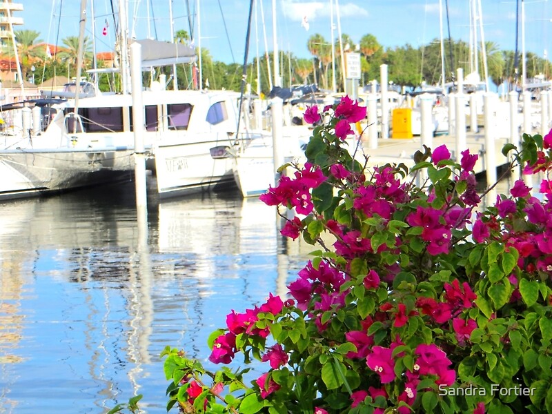 "The Good Life" by Sandra Fortier | Redbubble