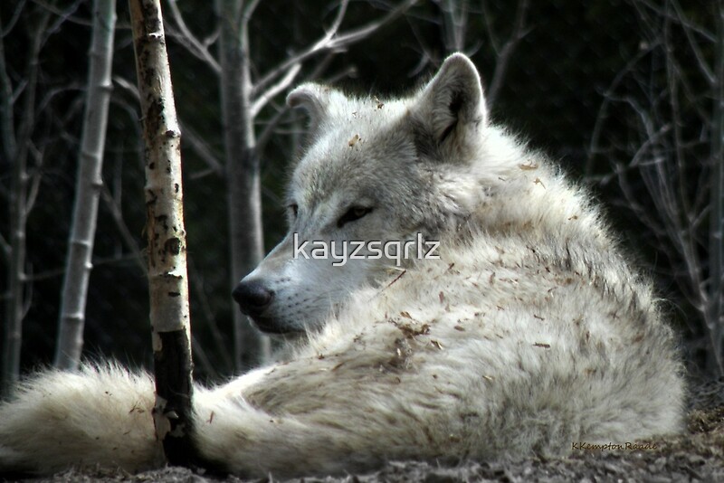 "Ghost Wolf" by kayzsqrlz | Redbubble