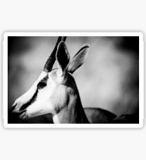 Springbok: Stickers | Redbubble