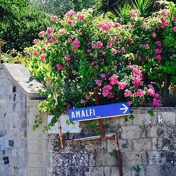 "Amalfi Coast Sign" Sticker for Sale by chasingcerulean | Redbubble