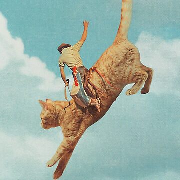 "Meehaw - Rodeo Cat / Bronc" Poster for Sale by Vertigo Artography ...