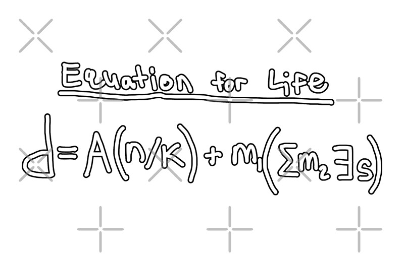 "The Equation for Life" by bobblehead1337 | Redbubble