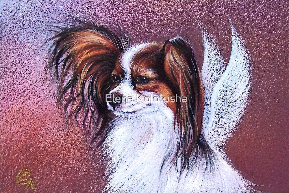 ""Patient angel "( Papillon)" by Elena Kolotusha | Redbubble