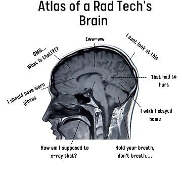 "Anatomy of a Rad Techs Brain" Poster for Sale by RadRaysShop | Redbubble