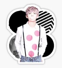 Bts Members Stickers | Redbubble