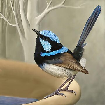 "Wild Superb Fairy Wren" Art Print for Sale by Kestrelle | Redbubble