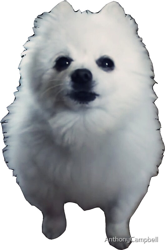 Gabe the Dog: Gifts & Merchandise | Redbubble