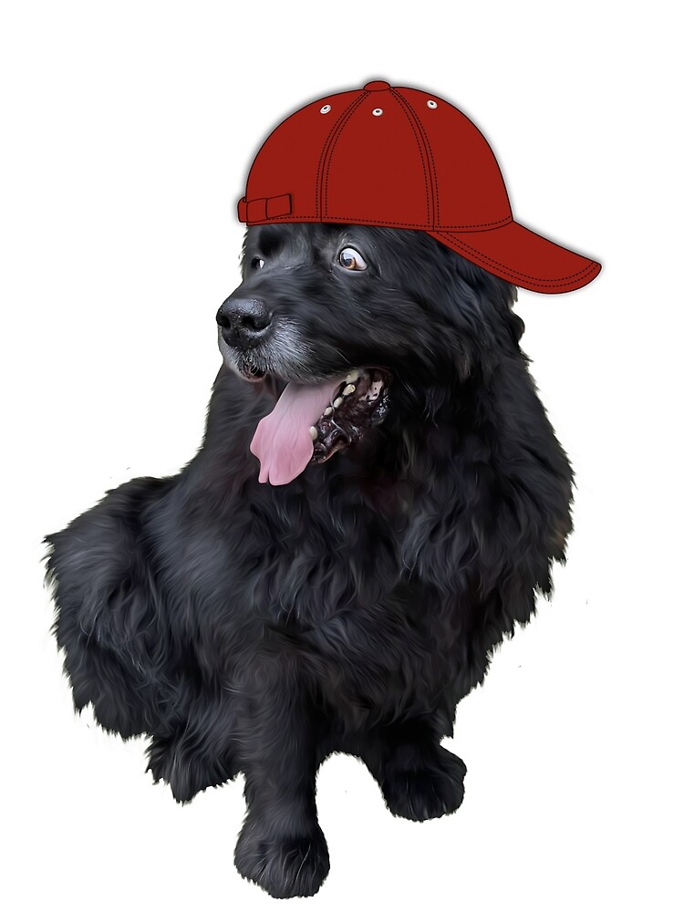 "Goofy Newfie with Red Hat" by Christine Mullis | Redbubble