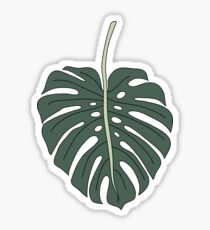 Monstera Stickers | Redbubble