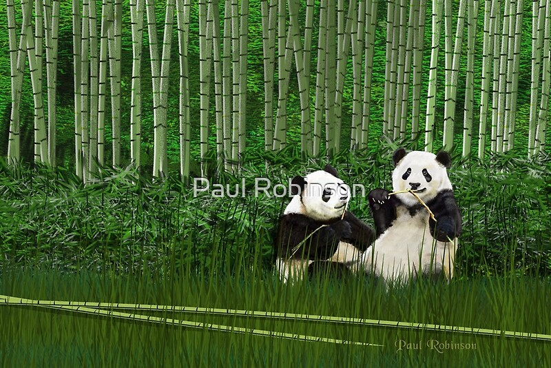 "Giant Pandas Bears In Chinese Bamboo Forest" by Paul Robinson | Redbubble