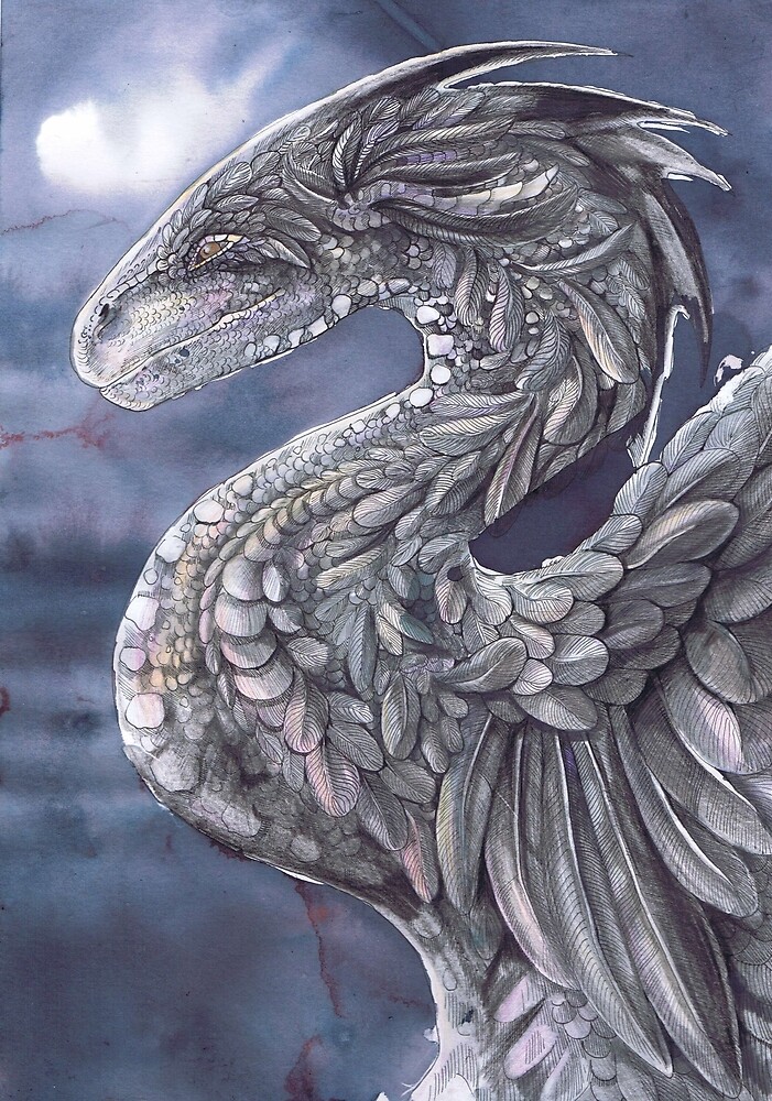 "Raven Dragon" by Dawn Paws | Redbubble