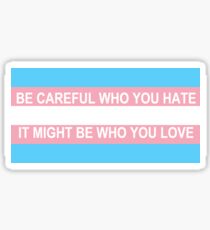 Trans: Stickers | Redbubble