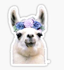 Llama: Stickers | Redbubble