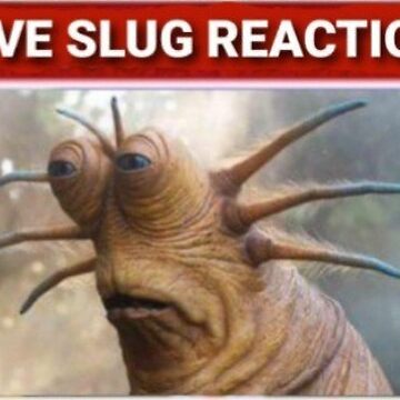 "live slug reaction meme" Sticker for Sale by scumbigula | Redbubble